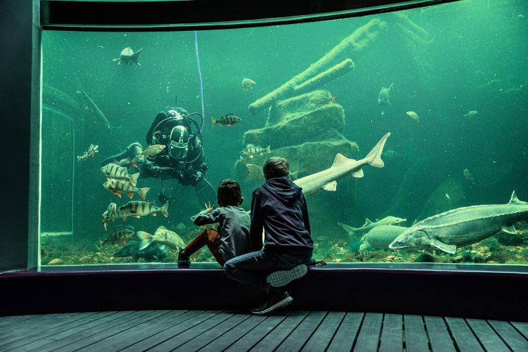 Akvaariotalo Maretarium | Visit Kotka-Hamina